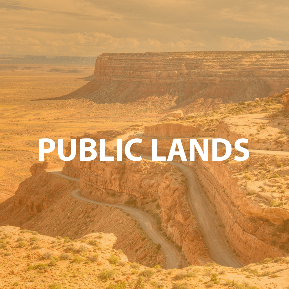 Alliance For A Better Utah Accountability In Government